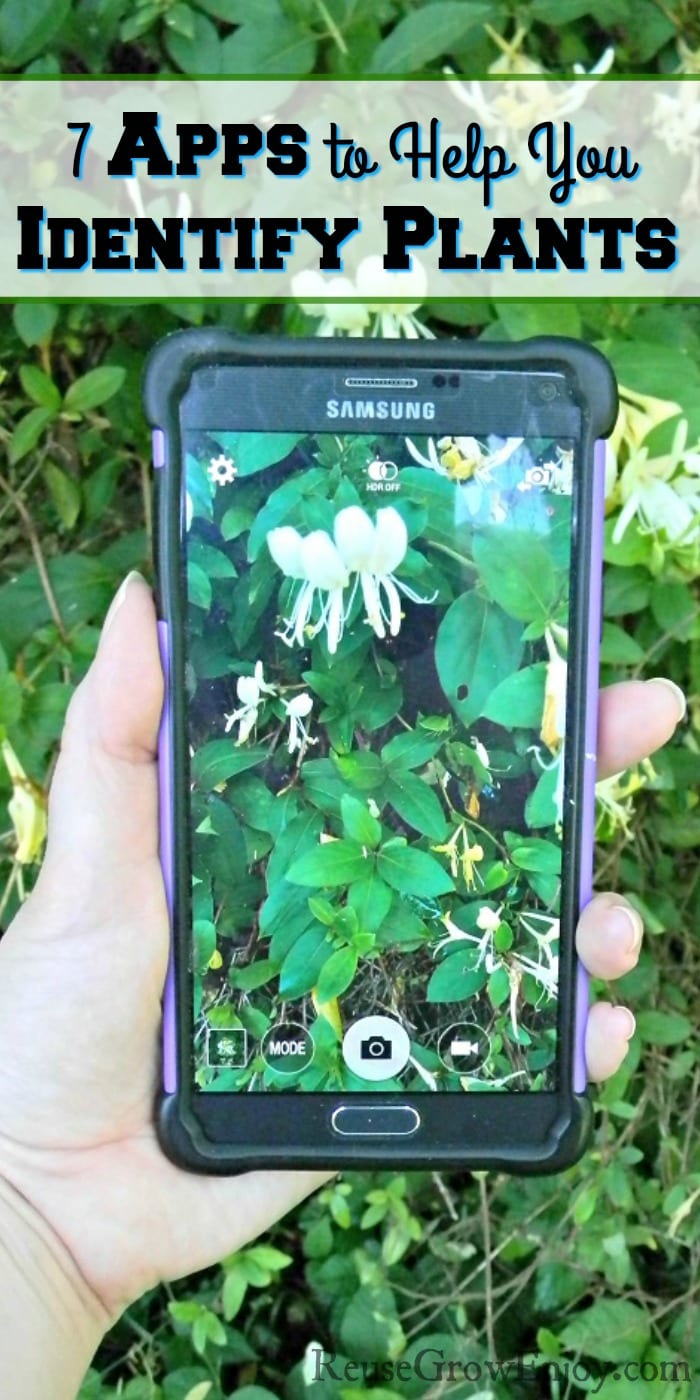 7 Apps To Help You Identify Plants Reuse Grow Enjoy