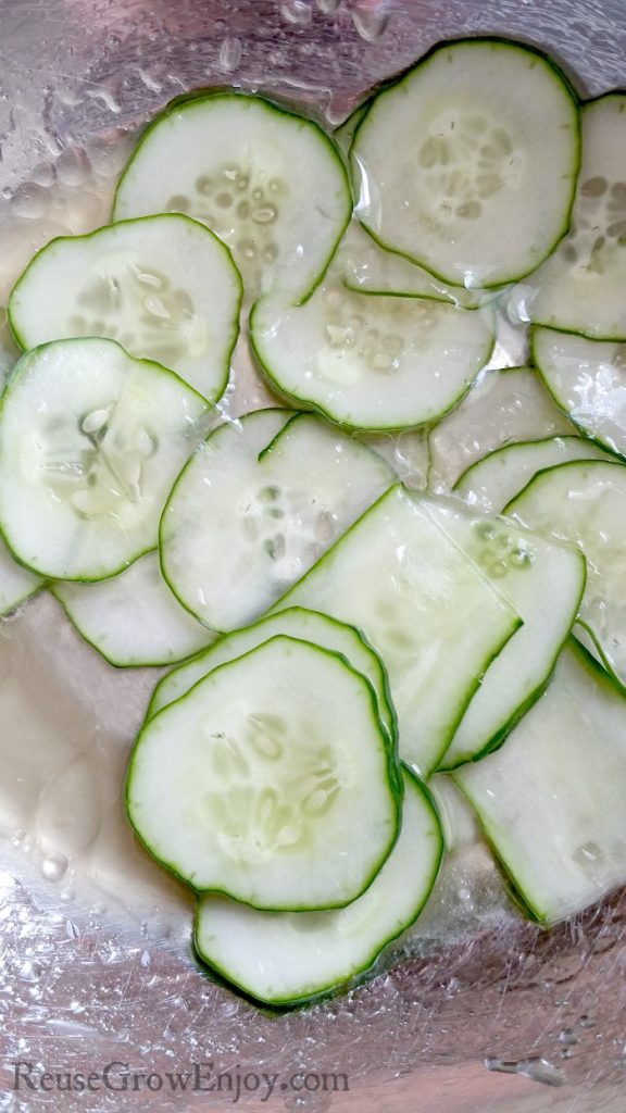 How To Make Cucumber Chips With Salt & Vinegar