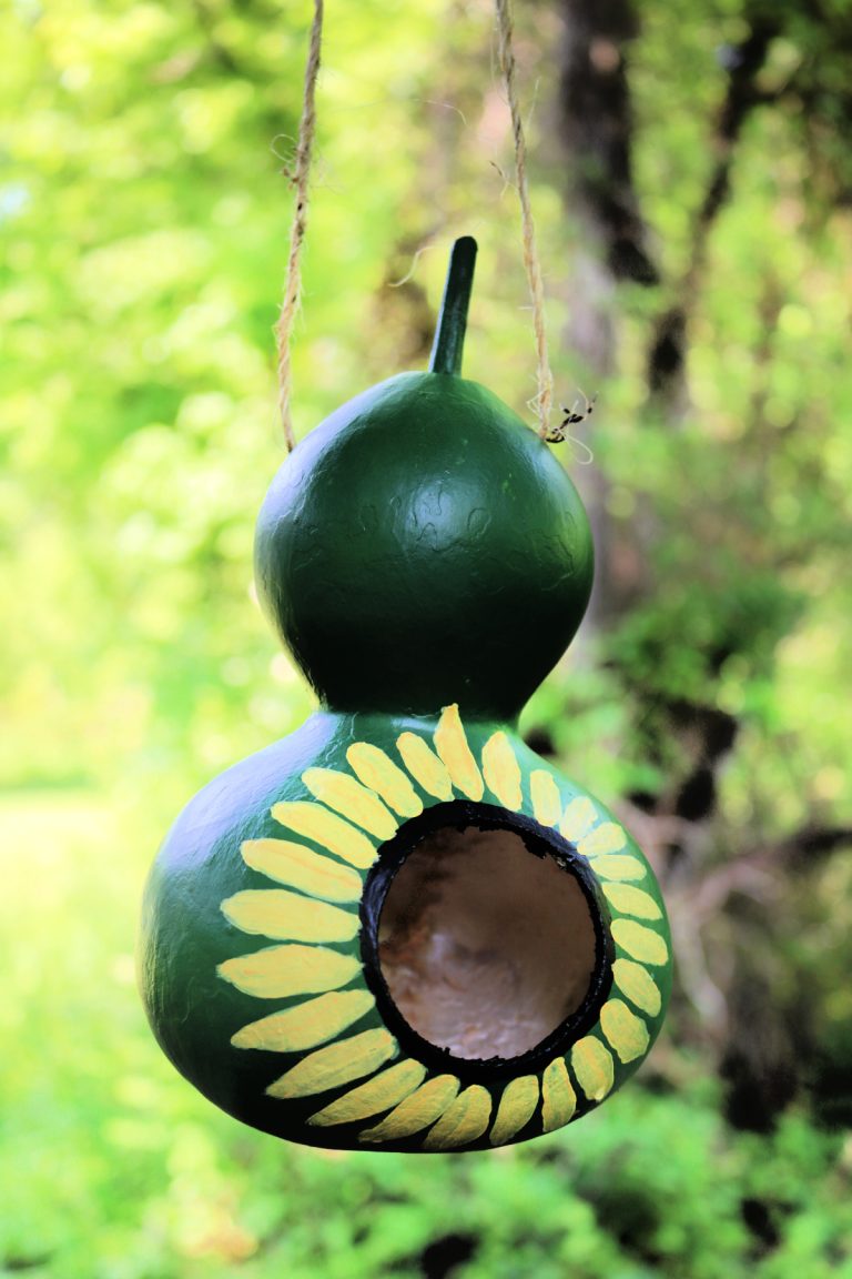 Easy Birdhouse DIY: How To Make From A Gourd