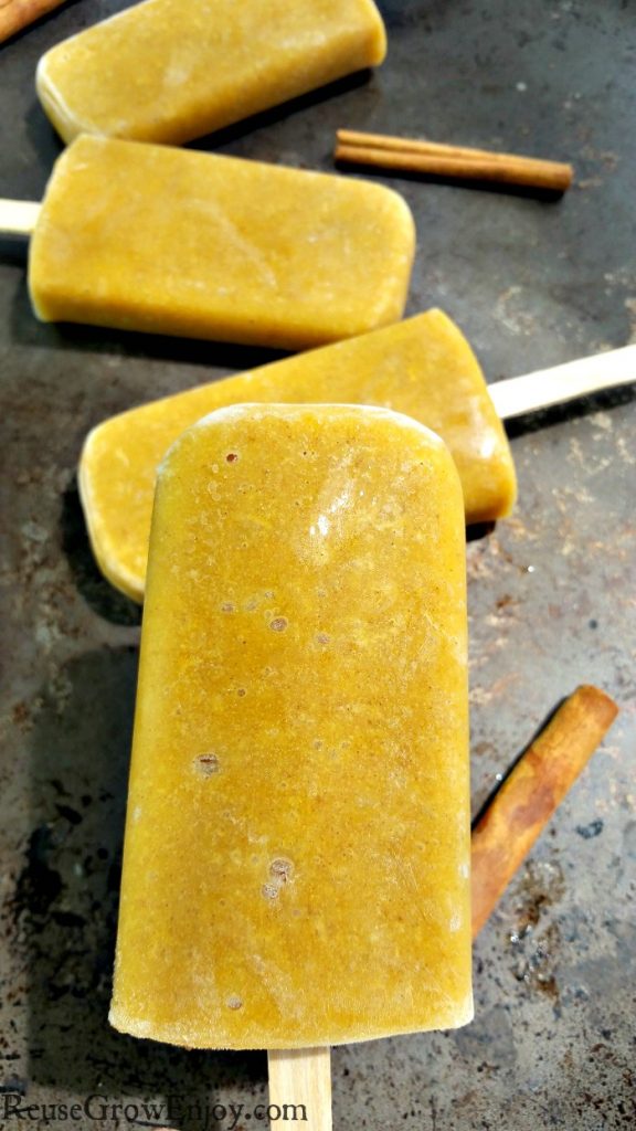 Healthy Pumpkin Pie Popsicle Recipe - Reuse Grow Enjoy
