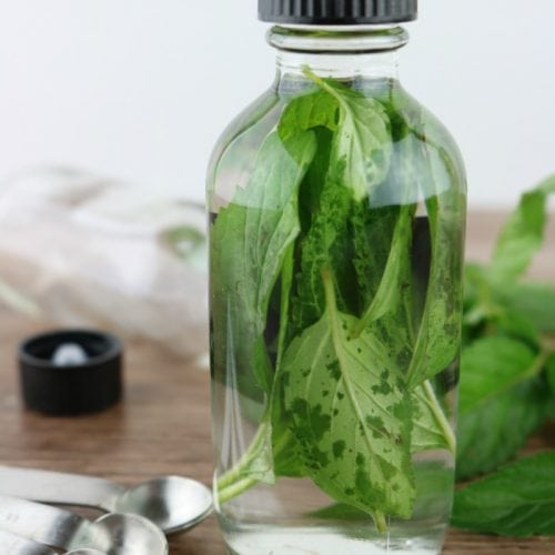 Homemade Mint Extract