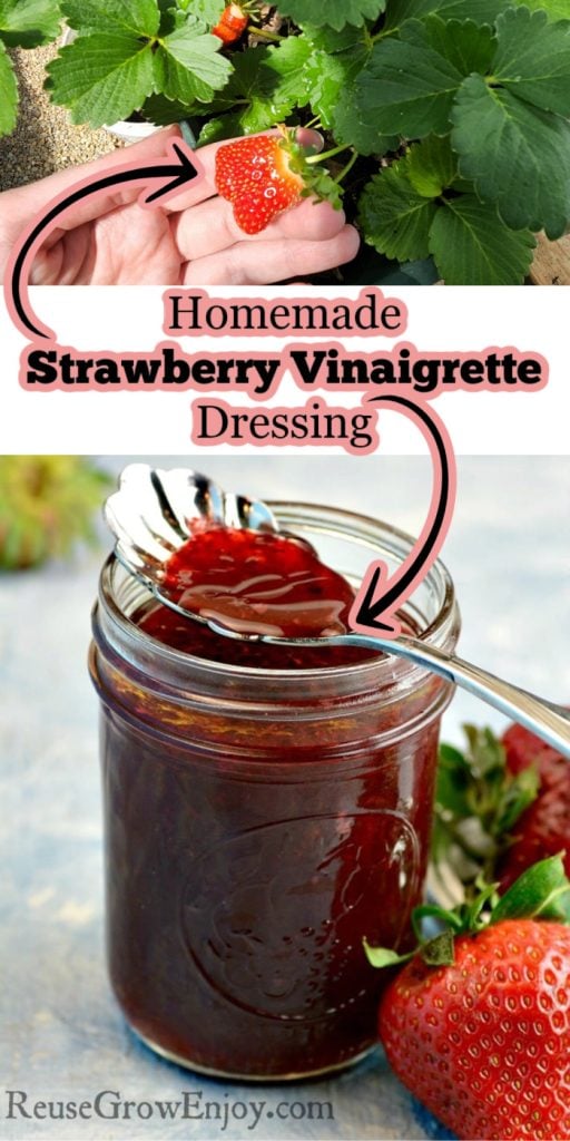 Strawberry Vinaigrette Dressing Recipe