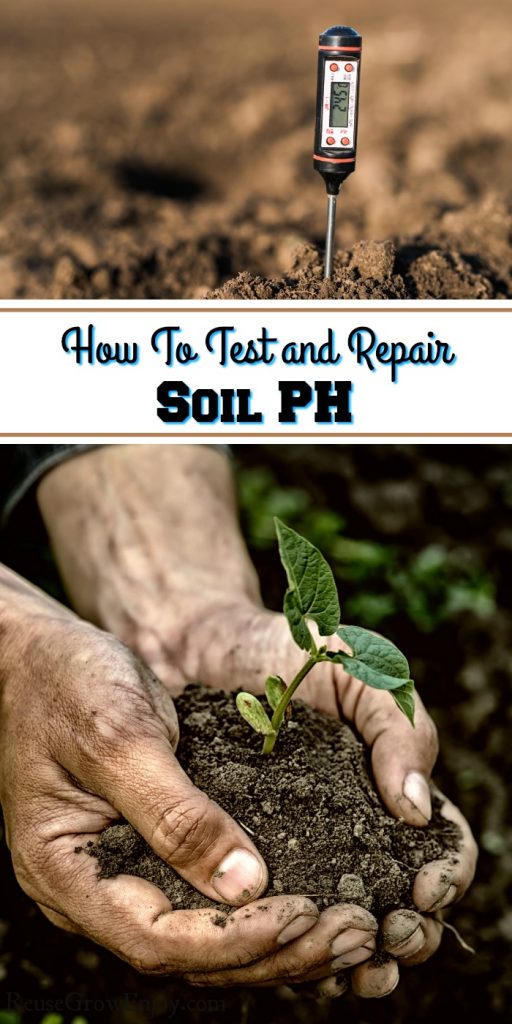 How To Test and Repair Soil PH