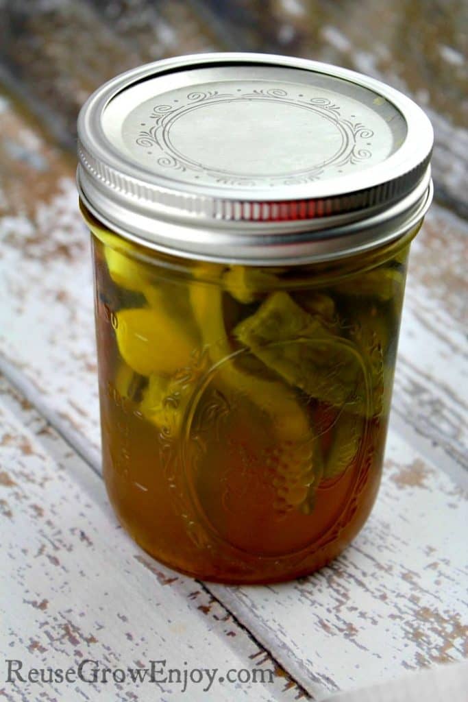 How to Pickle Cactus Nopales - Reuse Grow Enjoy