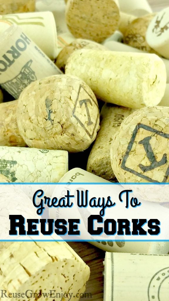 Ways To Reuse Everyday Items - Reuse Grow Enjoy